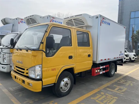 Mini-camion frigorifique Isuzu Elf Double Cabine 4X2 3,5 tonnes à ...